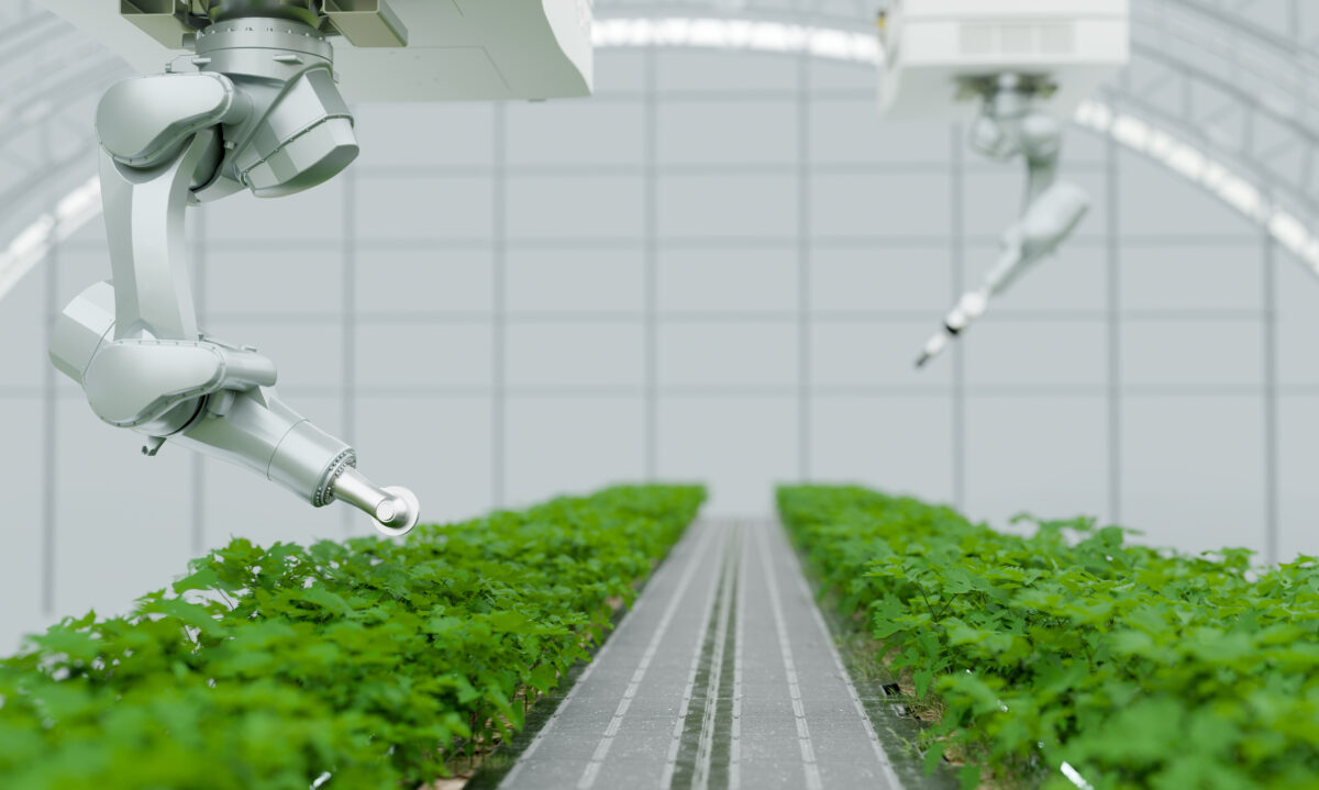 Agri-Food Innovation Spaces | Kadans Europe